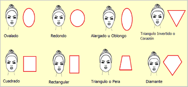 Formas del rostro – Cursos gratis